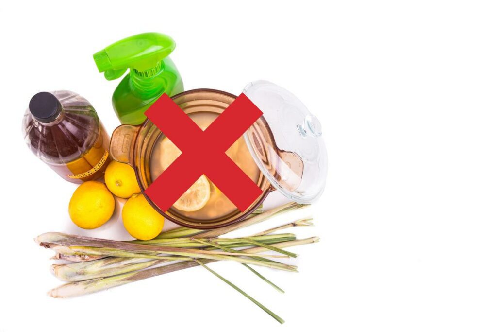 How to Tell if Your Dog’s Been Poisoned | Bobtail - Bobtail Dog Food